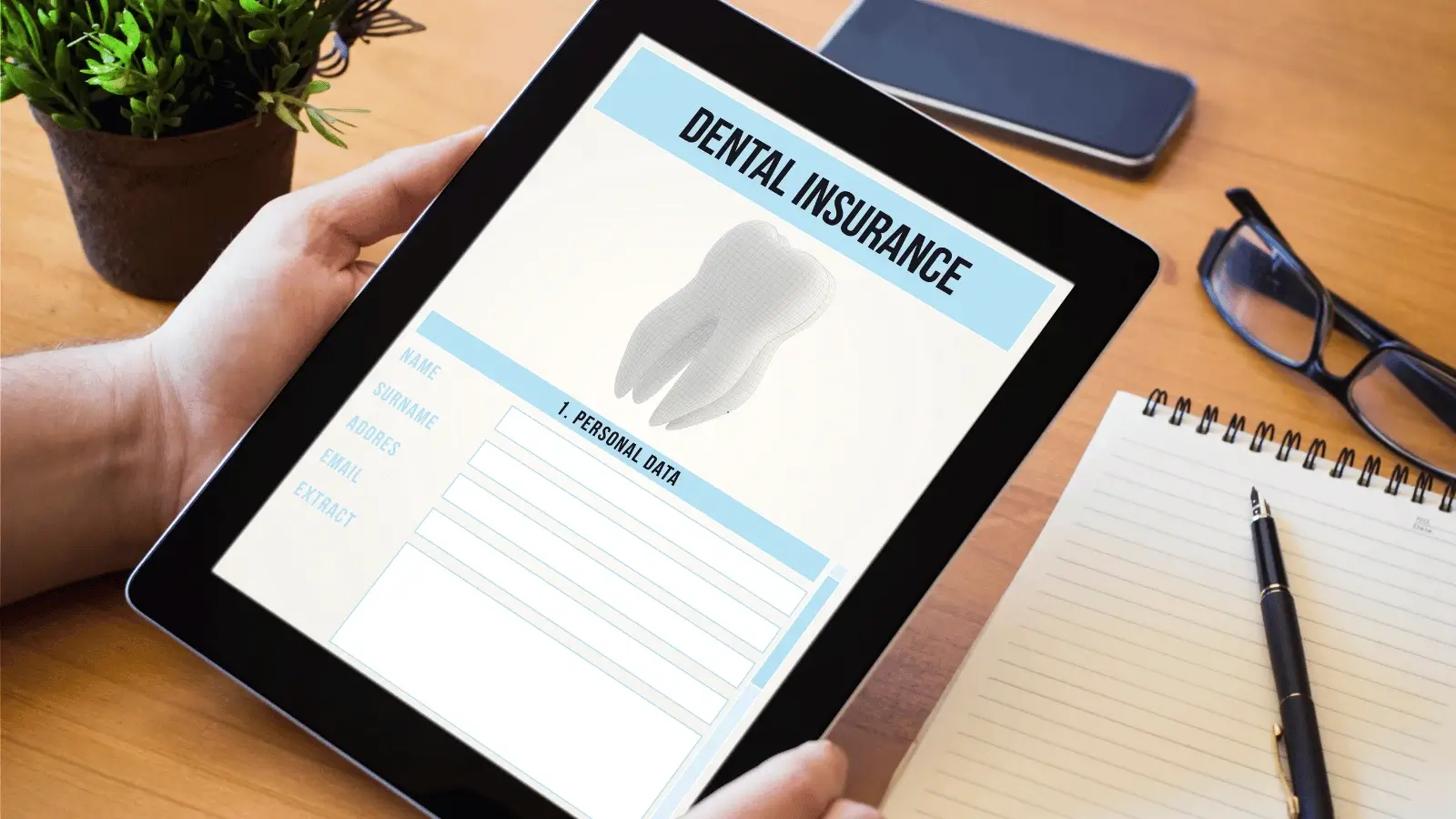 Understanding the Use It or Lose It Dental Insurance Policy